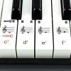 RockJam RJ461 Keyboard - The Keyboard Piano Shop